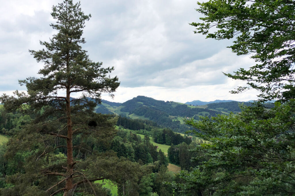 Brian Condenanza - Investor & Entrepreneur